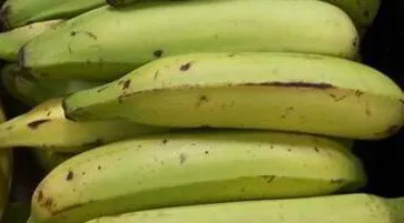 Fresh Green Plantain Box