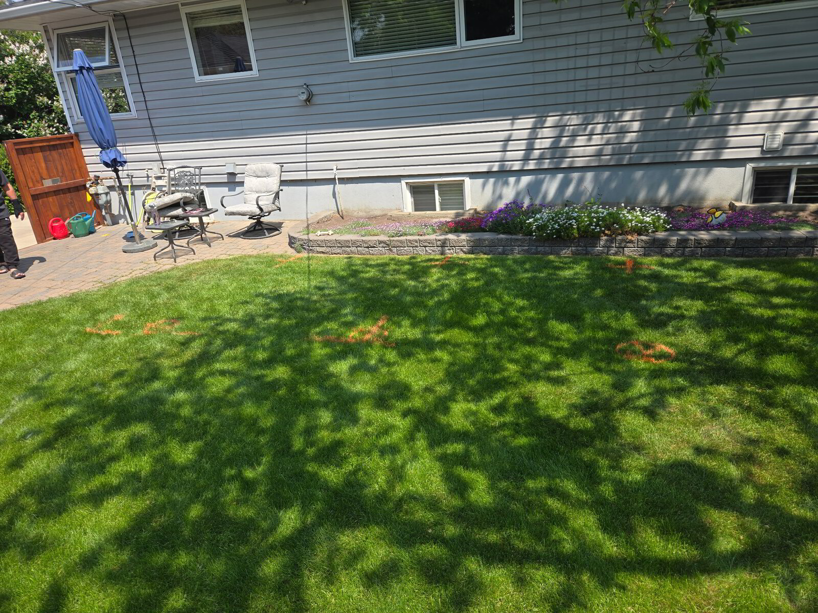 Before the Build: A Backyard Transformation Begins in Mayfair SW Calgary