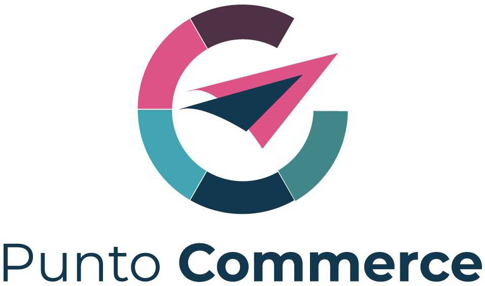 Punto Commerce: Agencia de e-commerce en México