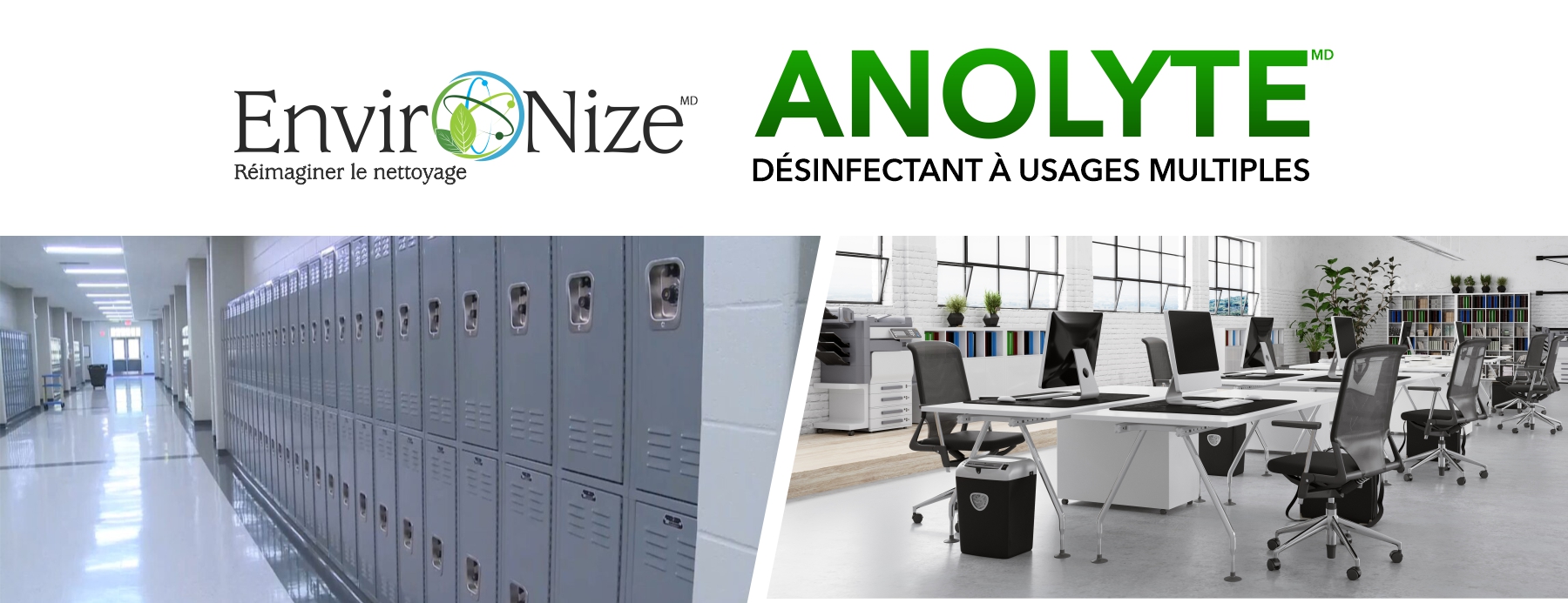 Anolyte