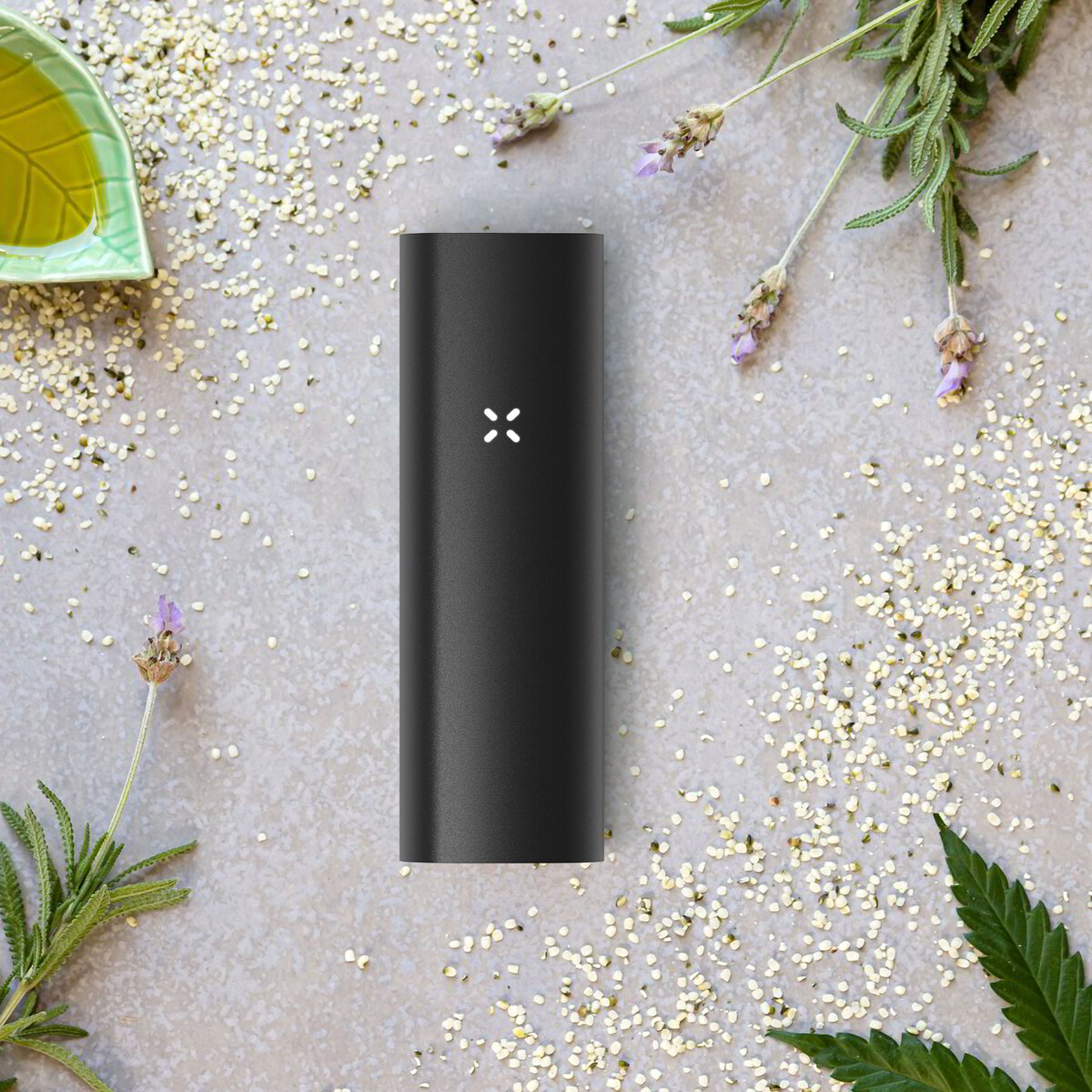 PAX 3 Complete Kit