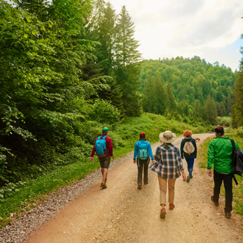 Proactive Health Association | Moving Wellness Forward