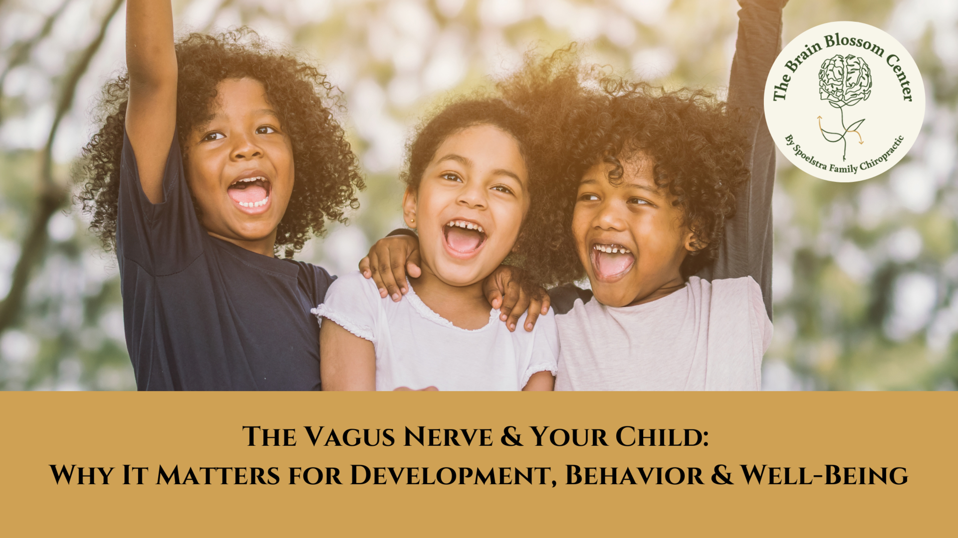 The Vagus Nerve & Your Child: Why It Matters for Development, Behavior ...