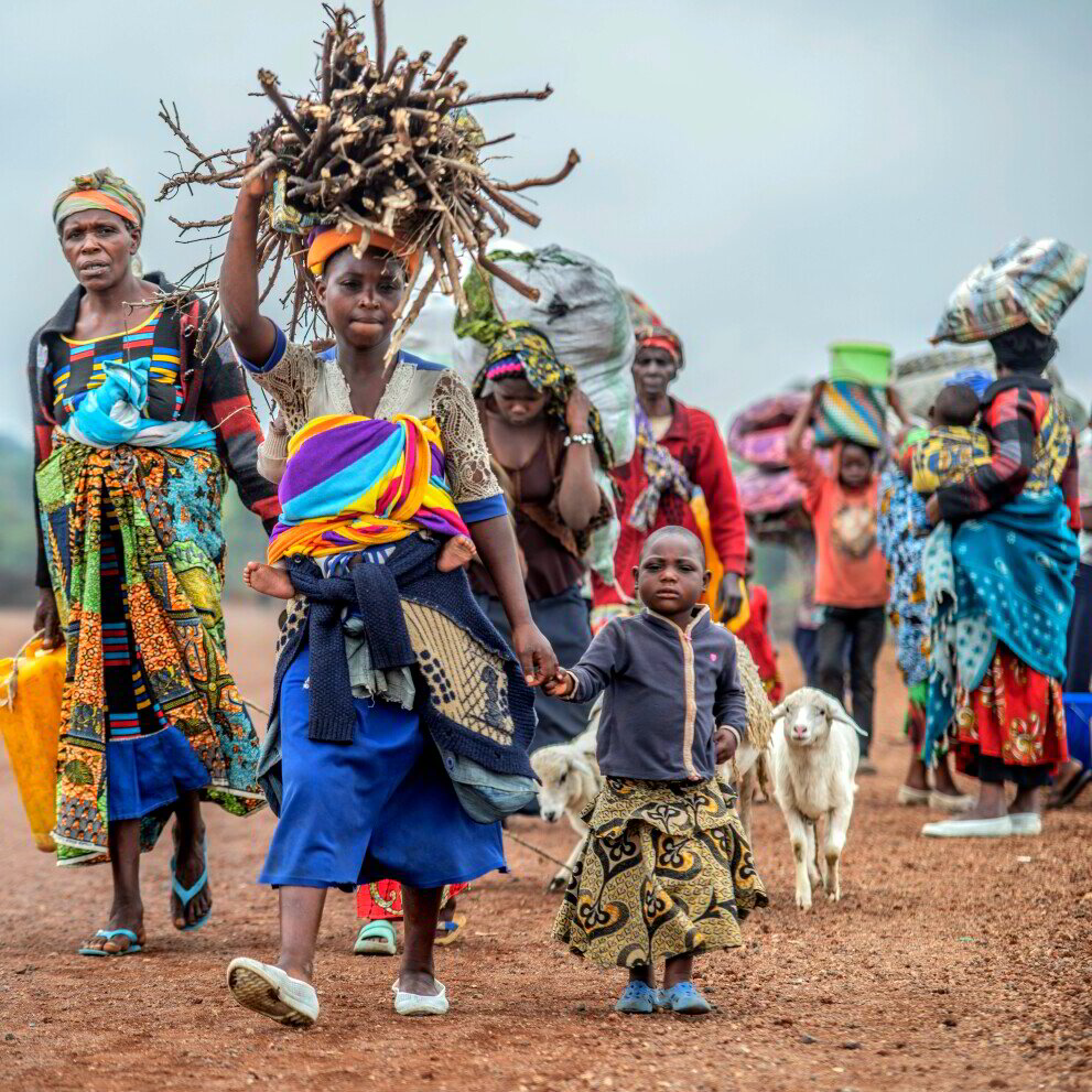 Congo Week: October 19-24