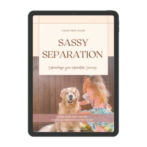 Online Dog Training For Dog Owners, Trainers and Behaviourists