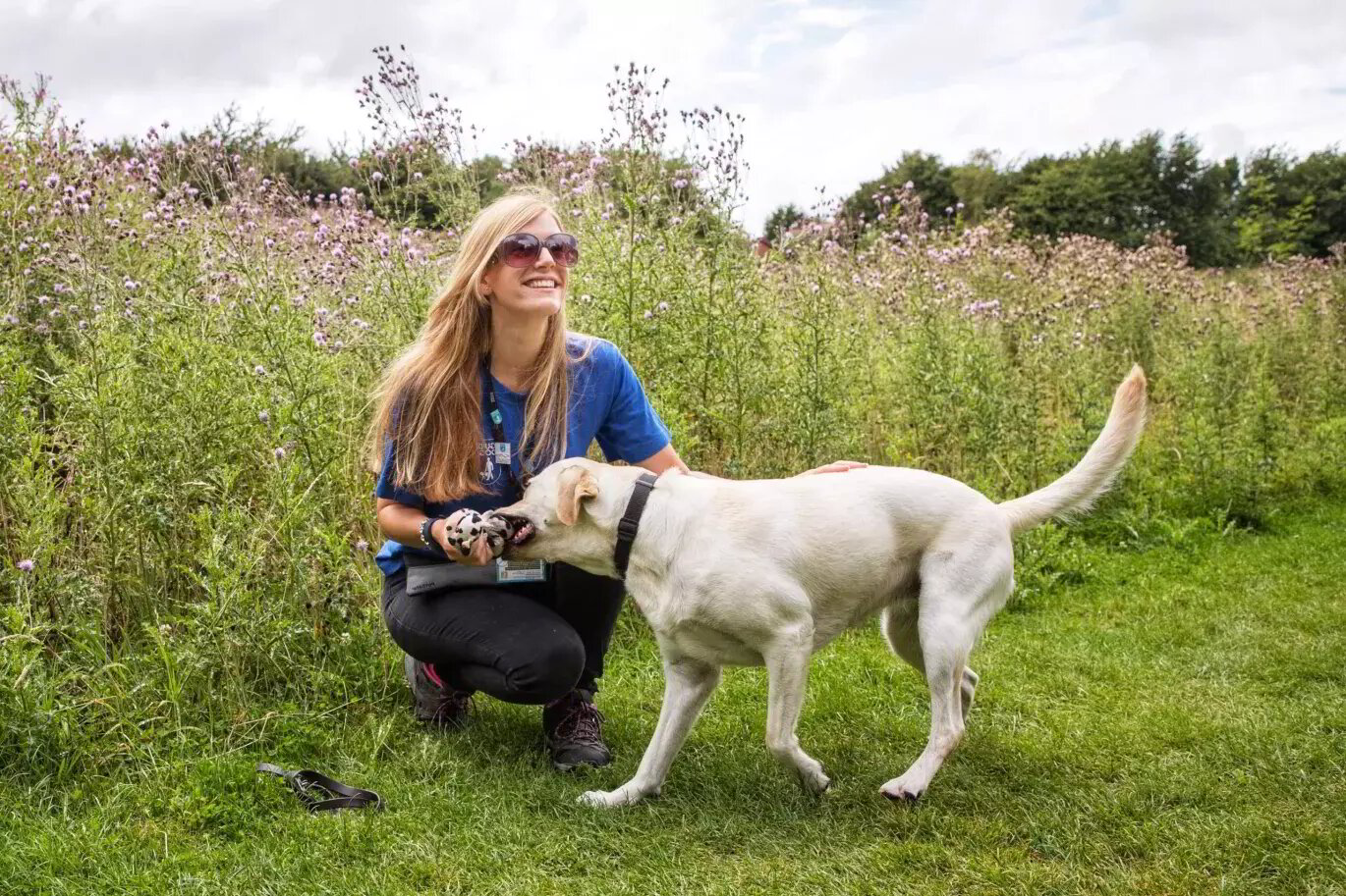 Did You Know? Your Dog Boosts Your Mental Health