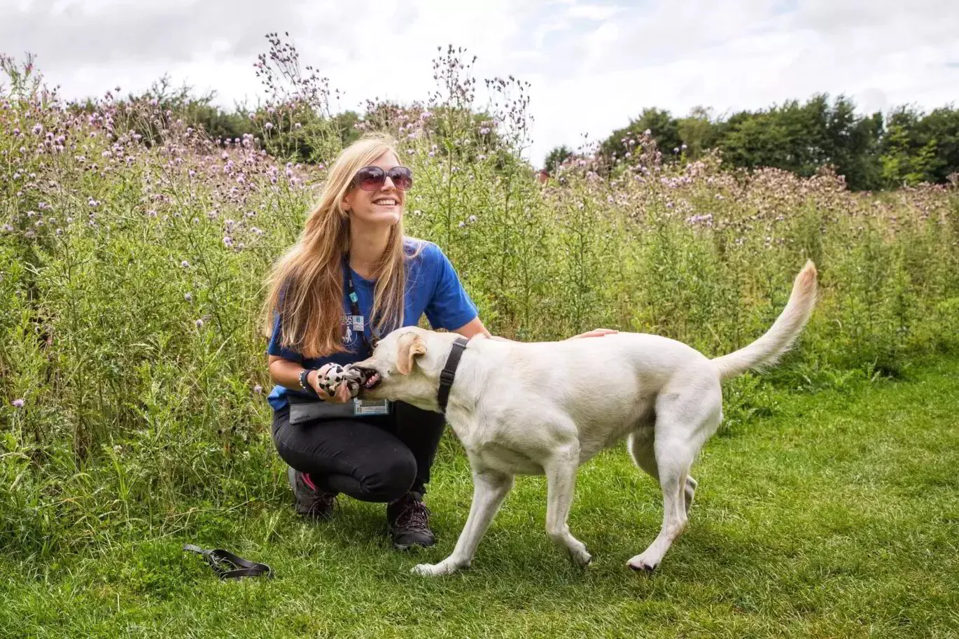Did You Know? Your Dog Boosts Your Mental Health