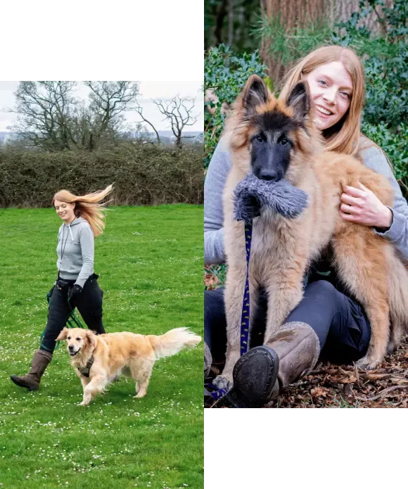 Did You Know? Your Dog Boosts Your Mental Health