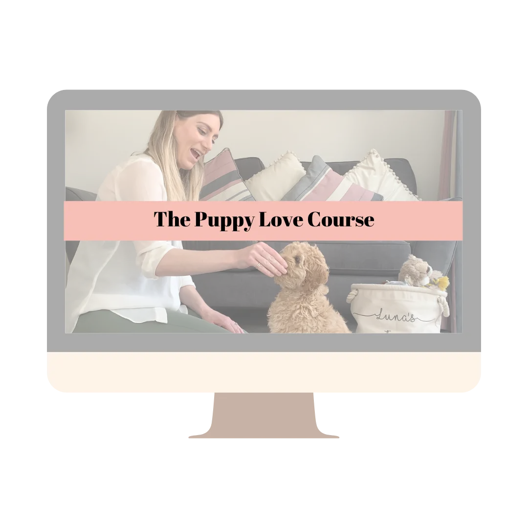 Puppy Love Course