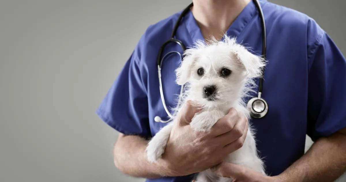 Atrioventricular block (AVB) types explained