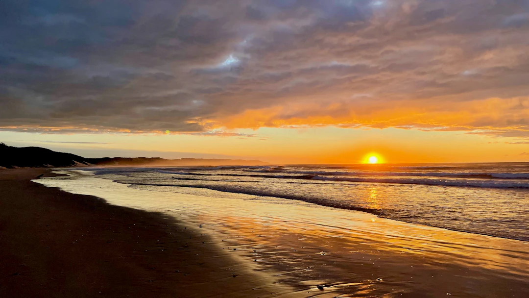 Cannon Rocks, Boknes, and Bushman's River Mouth: Community Initiatives ...