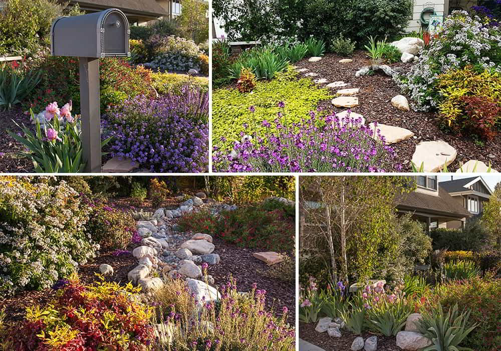 Festival Garden Competition