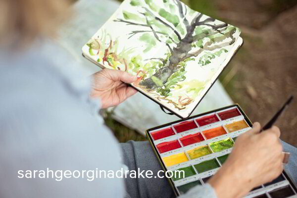 About | Sarah G Drake Artist