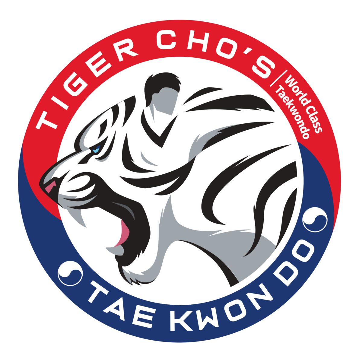 Martial Arts | Tiger Cho's World Class Taekwondo | St. Augustine