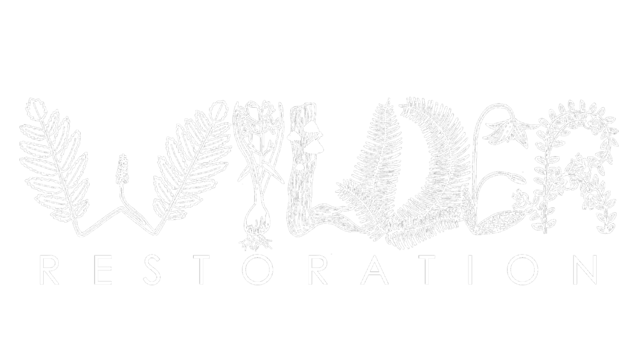 Wilder Restoration | Restoration Landscaping Company