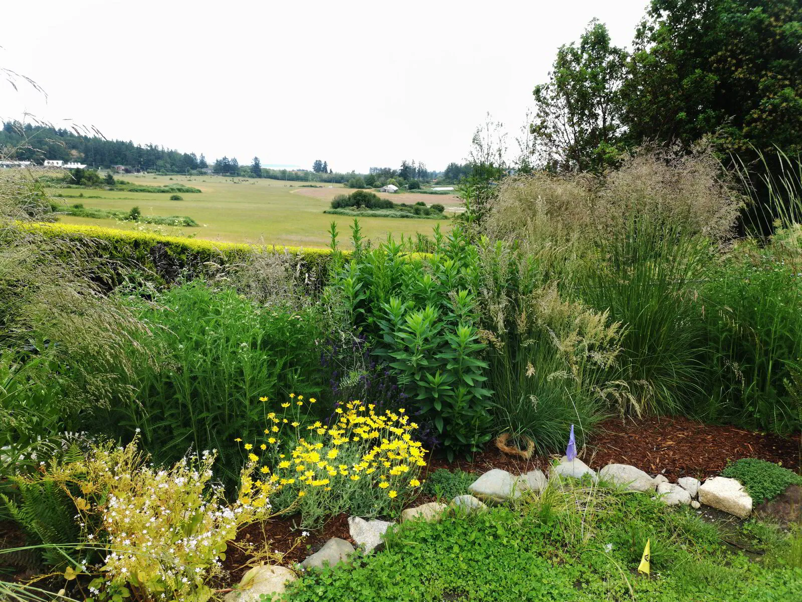 Project Portfolio | Restoration Landscaping Company