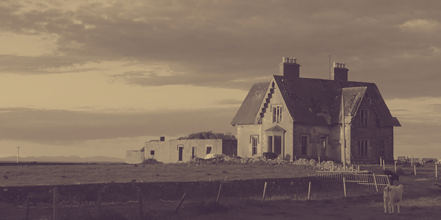 #10 - 'Irish Lumper'