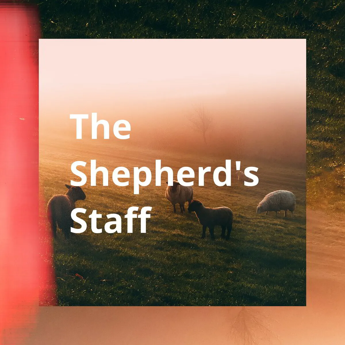 The Shepherd's Staff