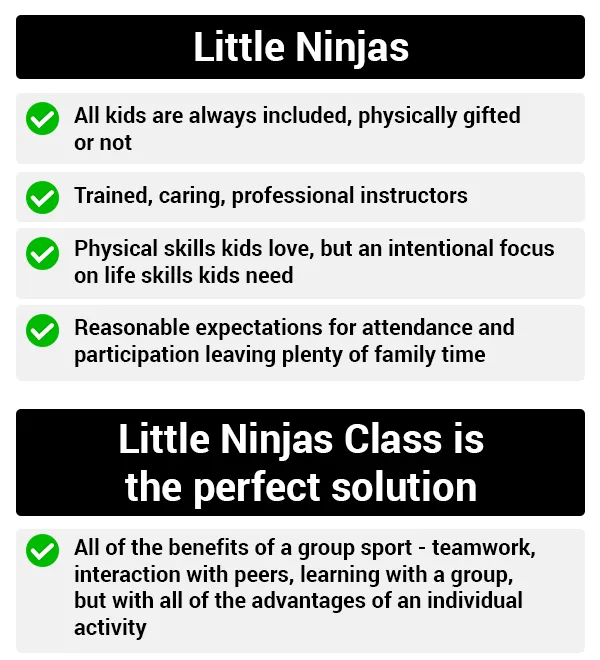 Little Ninjas (Ages 4-8) | Dynamic Martial Arts Academy | Martial Arts ...