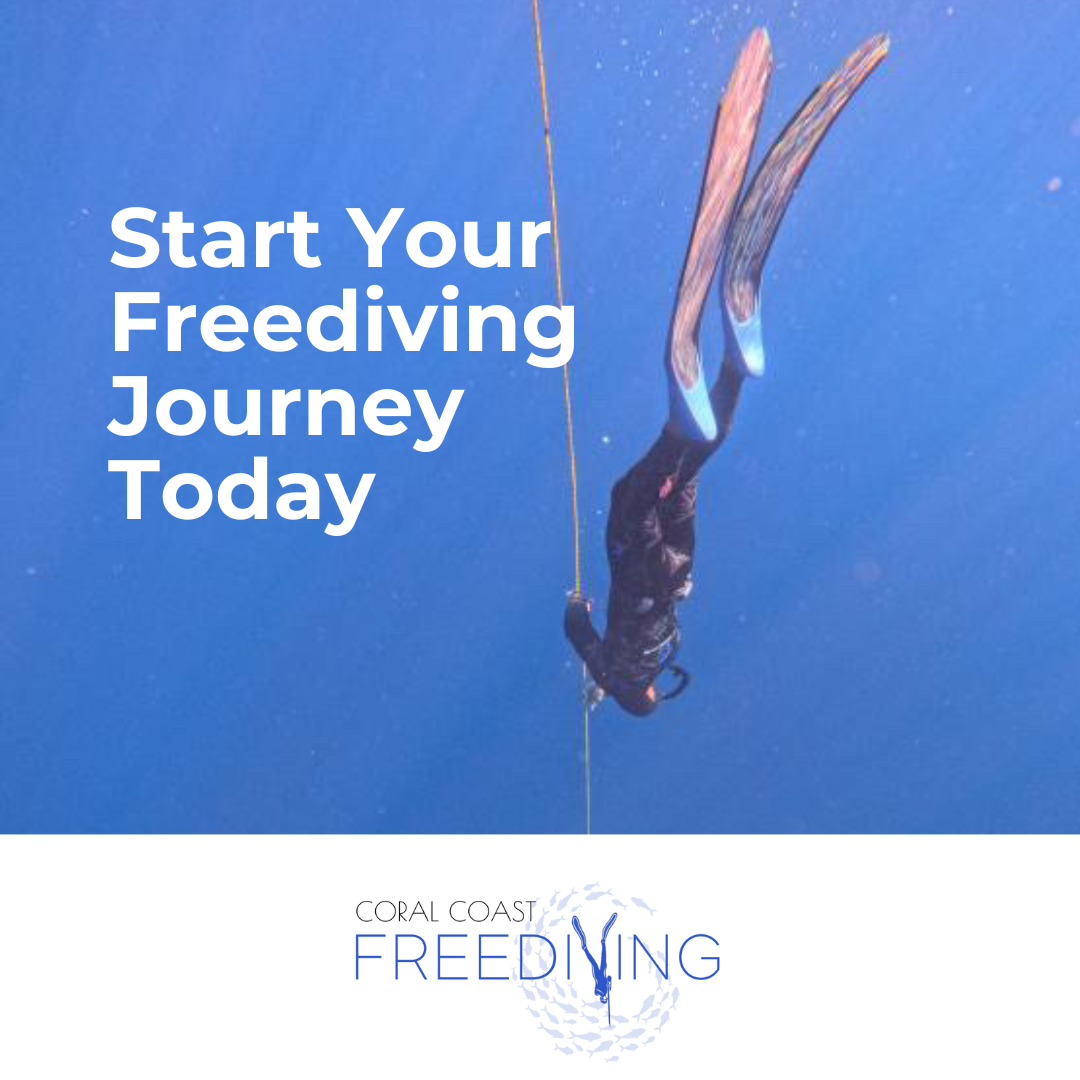 Coral Coast Freediving | Freediving and Spearfishing in Fiji