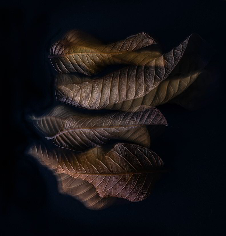 Four Leaves