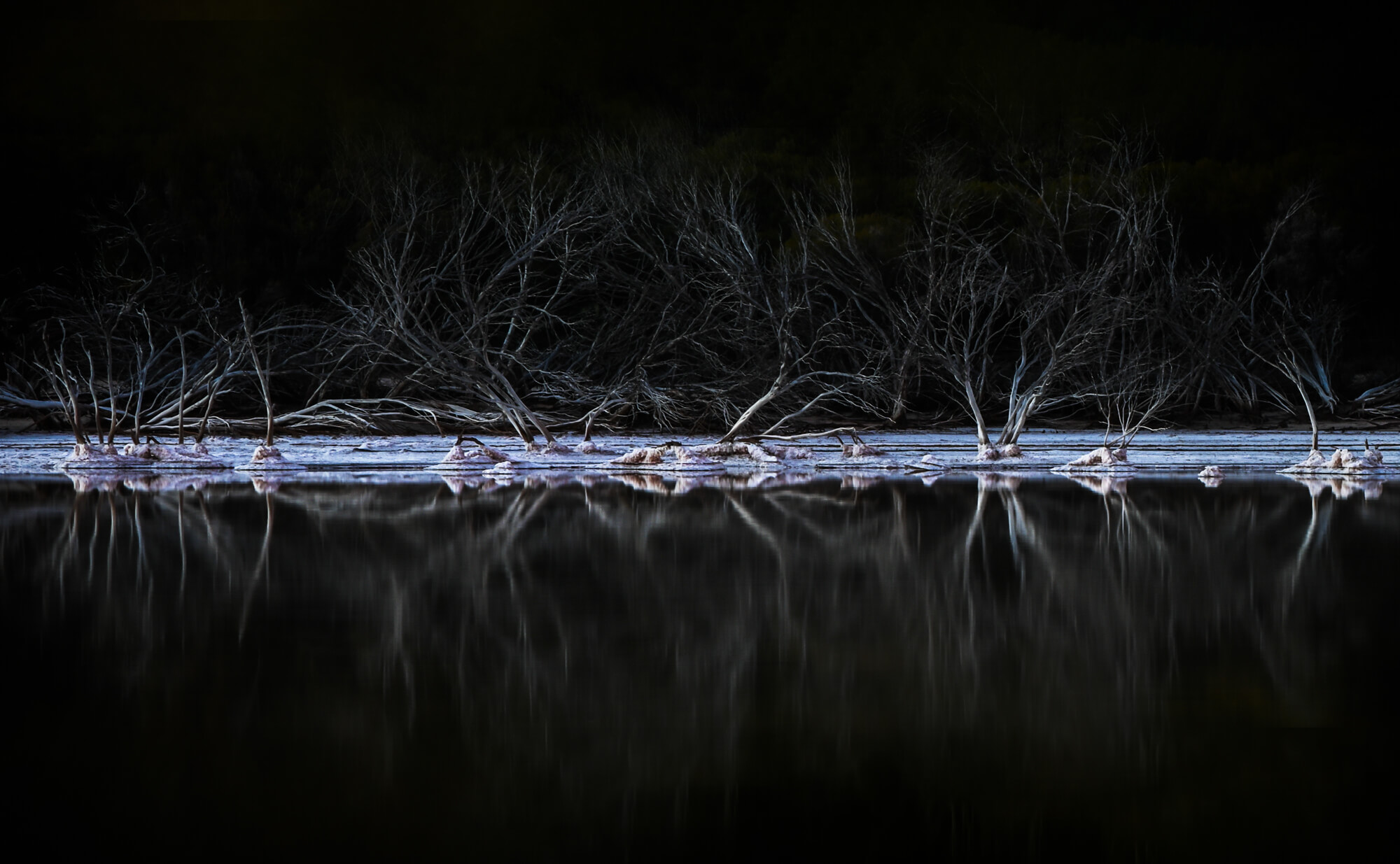 Shoreline Reflections