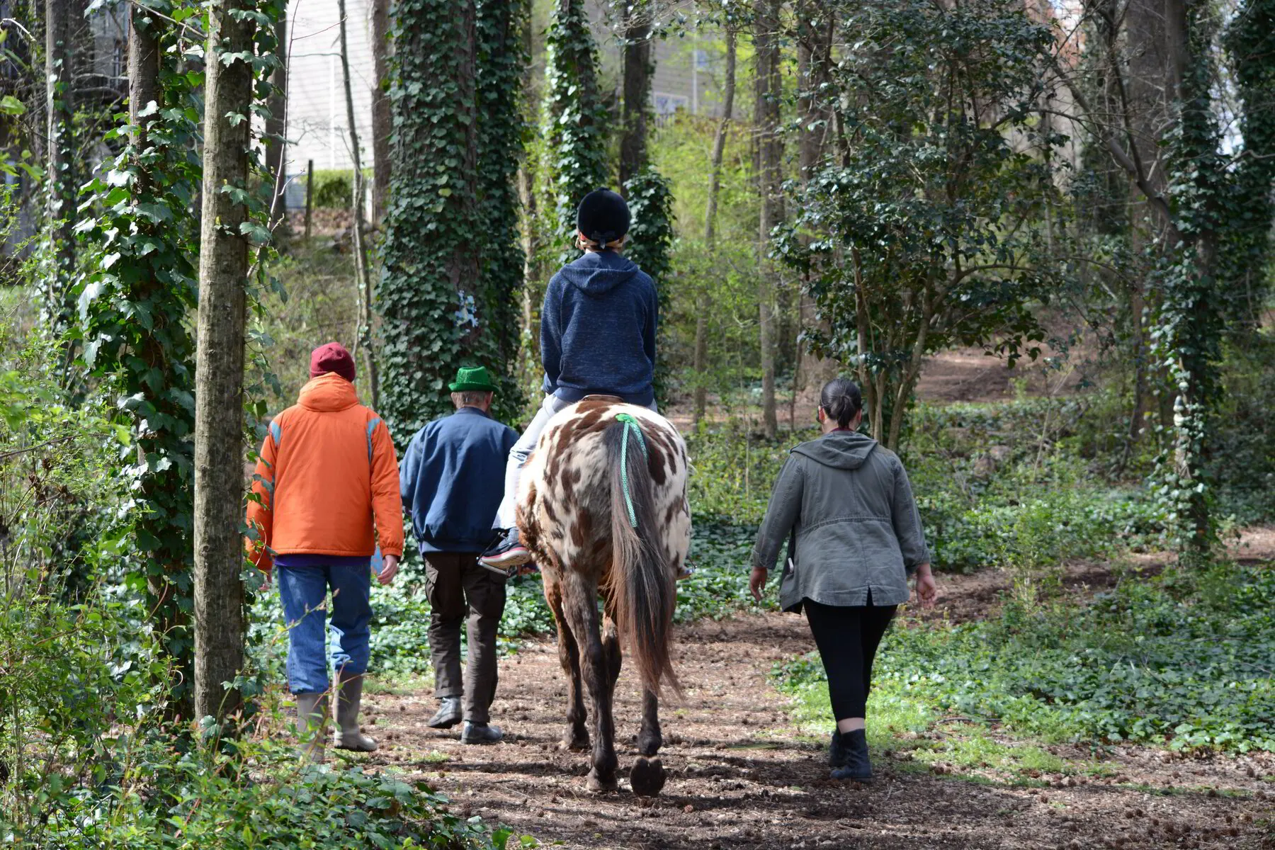 Unleashing the Power of Therapeutic Horseback Riding: Enhancing ...