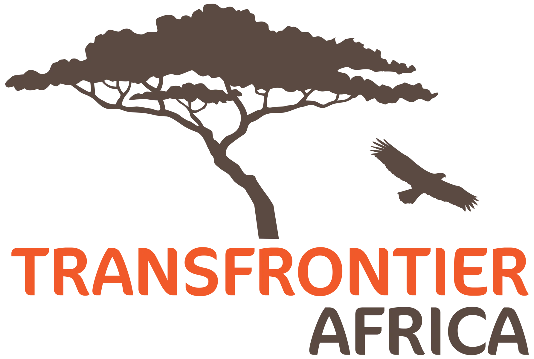 Home - Transfrontier Africa