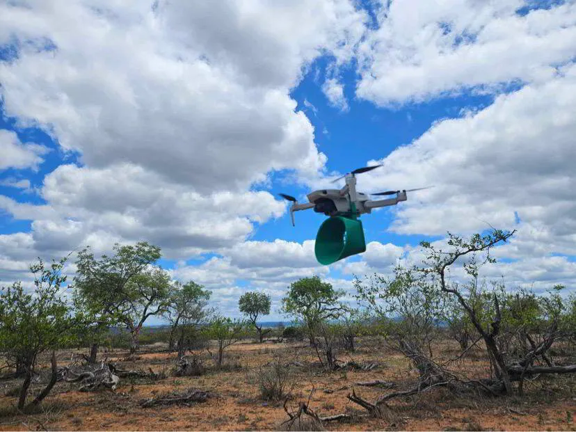 Scientific Projects - Transfrontier Africa