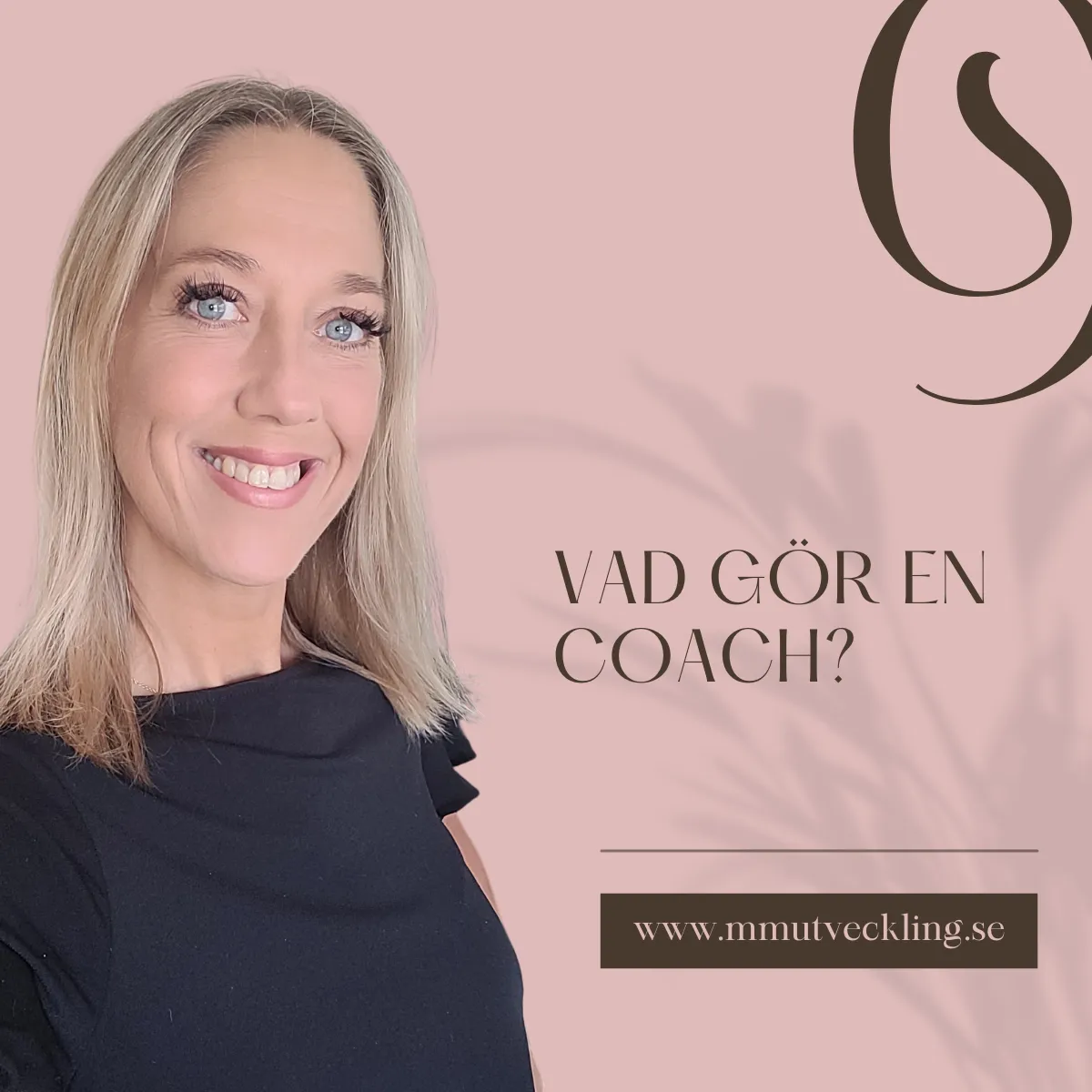 VAD GÖR EN COACH?
