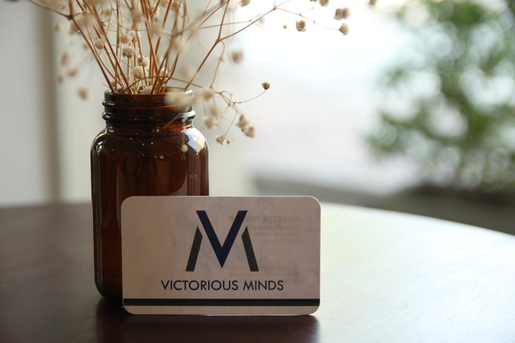 Victorious Minds: About Us