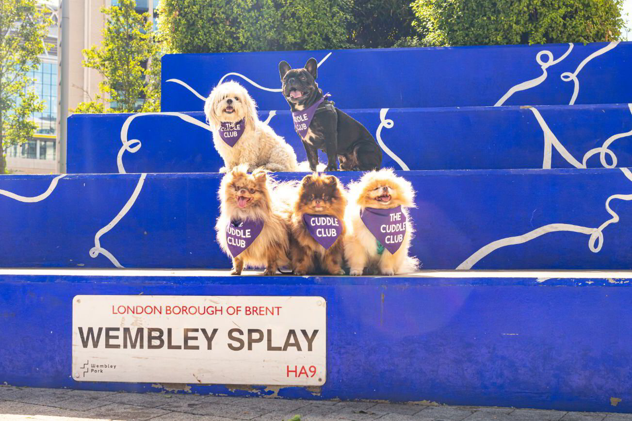 The Cuddle Club At Wembley Park