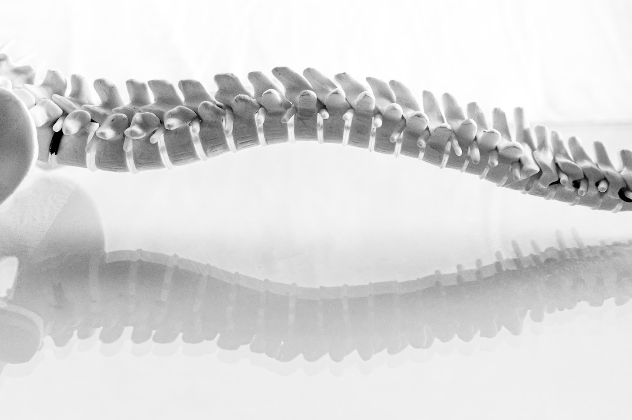 HOW DID CHIROPRACTIC START? A SHORT STORY OF THE HISTORY OF CHIROPRACTIC