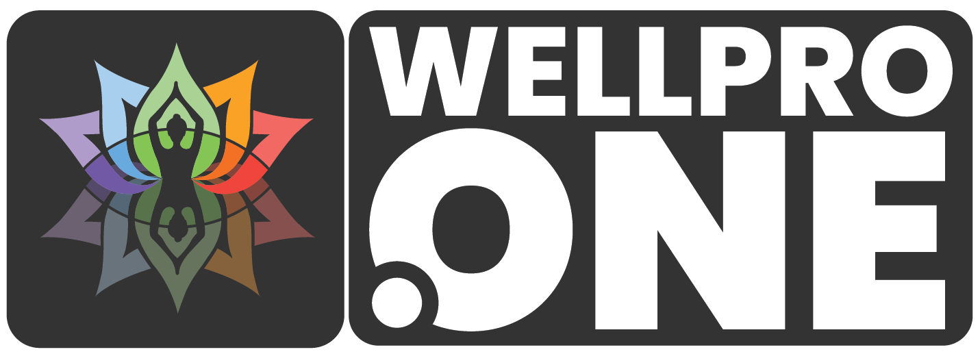 Diabetes Assist Kit | Wellpro