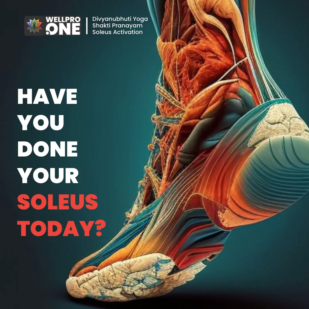 Soleus Activation Series | Urzano Wellness