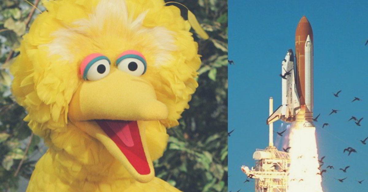 Big Bird Almost Died On The Challenger... Learn Why He Declined the ...