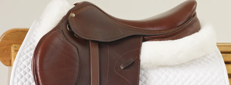 Products | Grand Champion Tack & Saddlery | Sporting | Indianapolis, IN