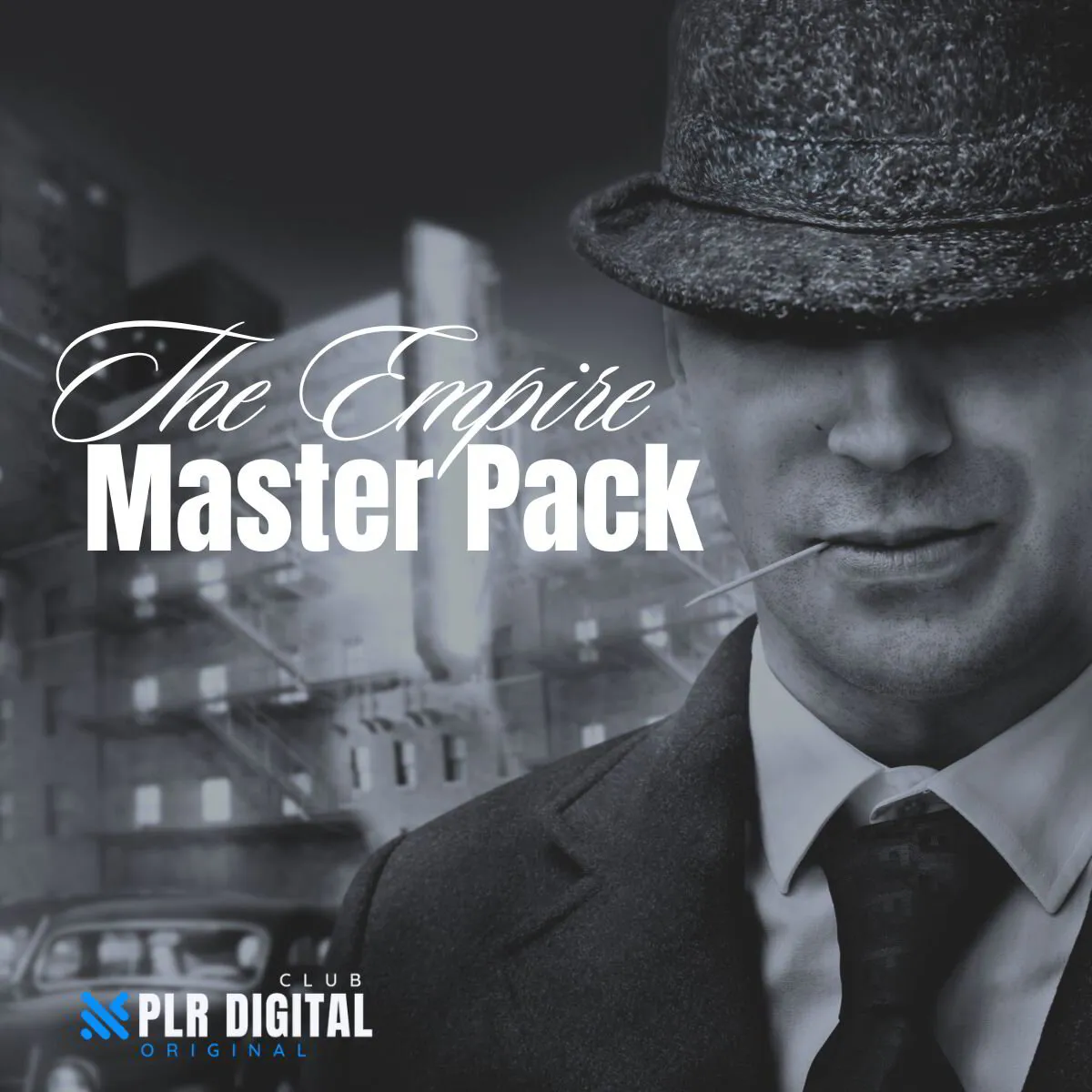PLR Digital Club - Unlock 100,000+ Digital Products to Resell
