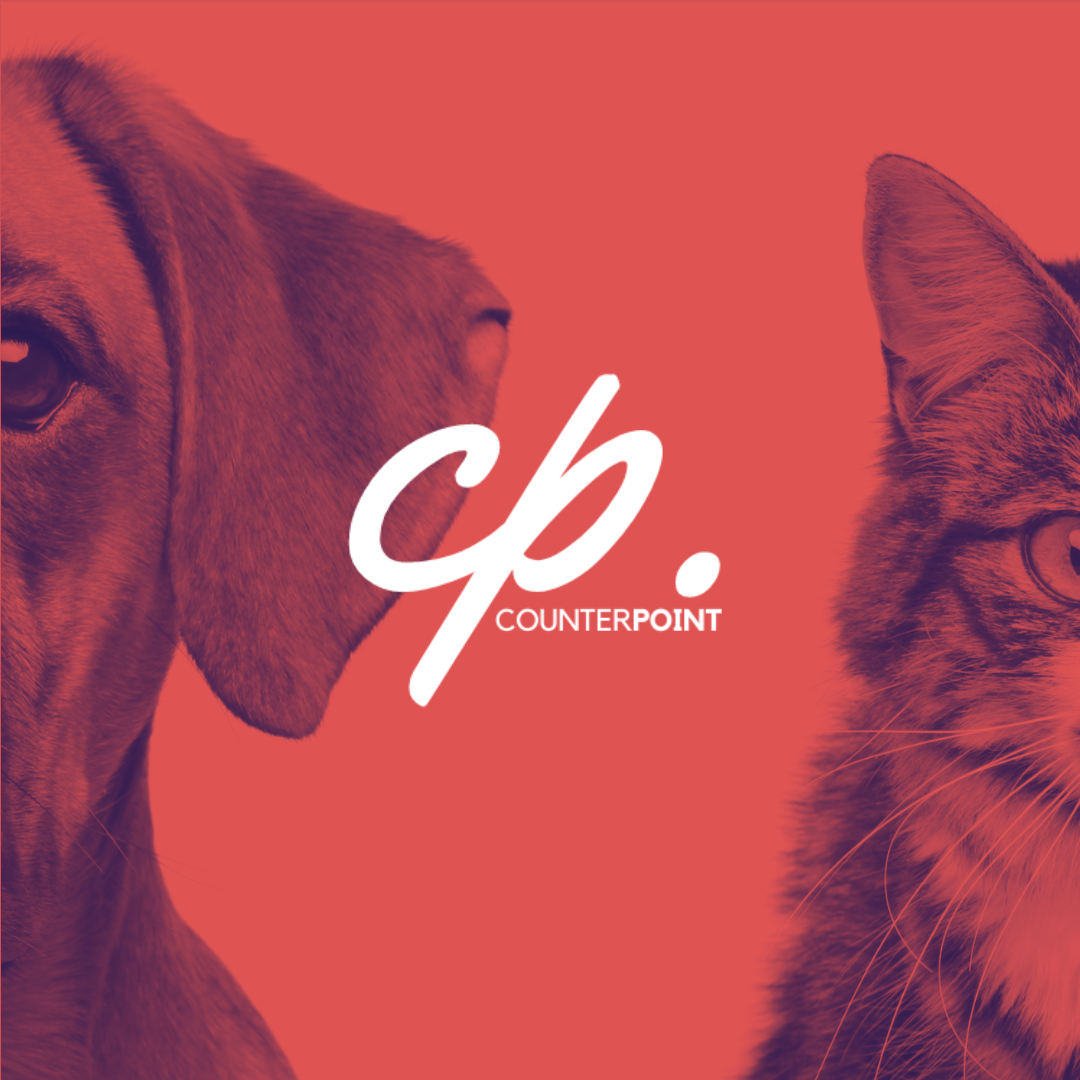 Contact Us | Counterpoint Digital