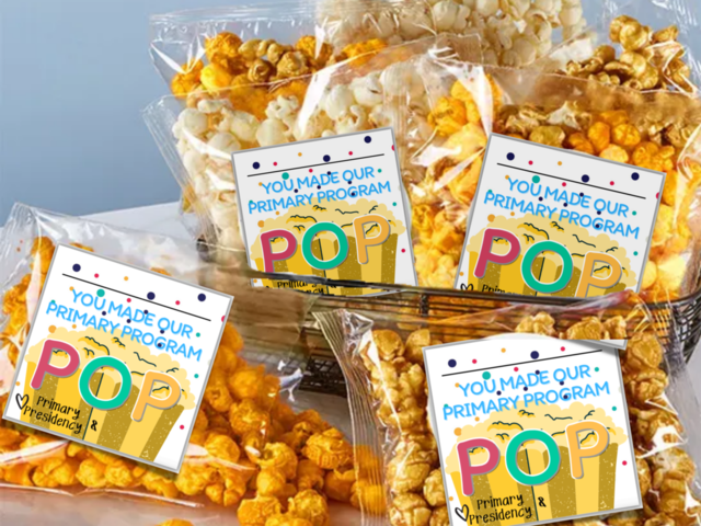 WHAT TO DO AFTER THE PRIMARY PROGRAM