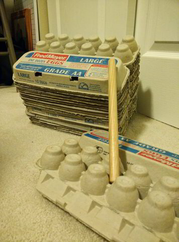 10 TOP INSTRUMENT PICKS FOR PRIMARY SINGING TIME