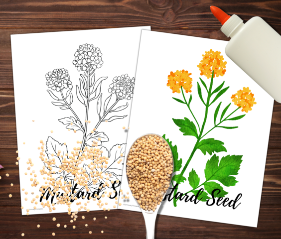 Parable of the Mustard Seed & Leaven Bible Parable Lessons for Kids