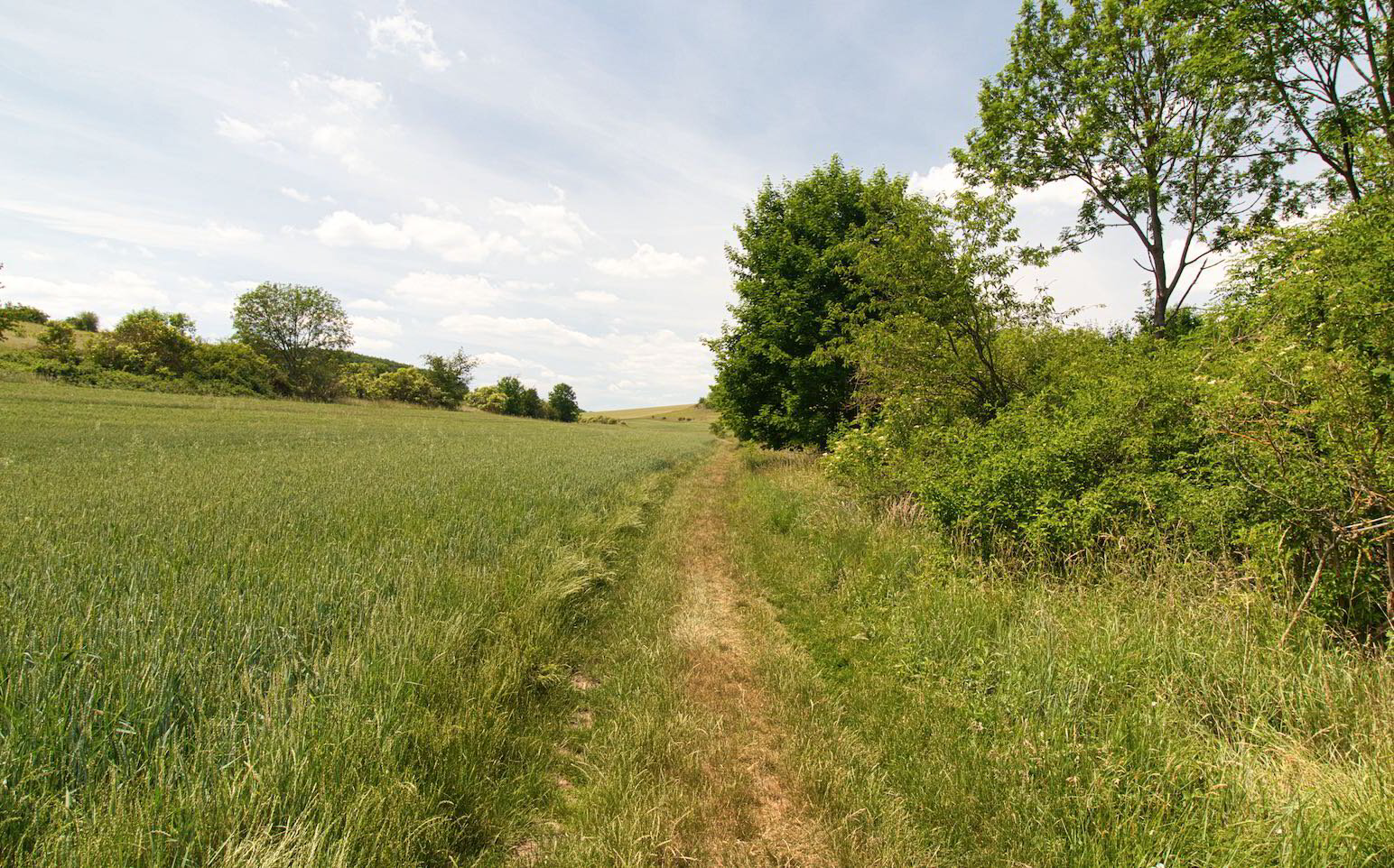 Loving Ranch: A Property Steeped in the History and Heritage of Texas