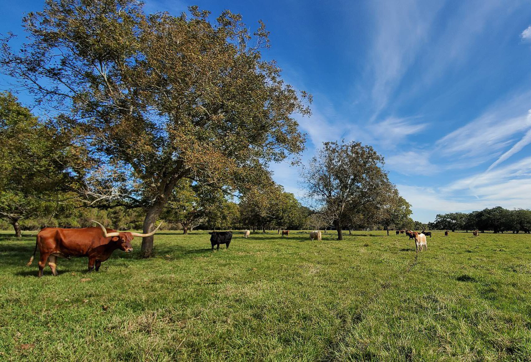 Setting the Stage: 10 Steps To Prepare Your Ranch for the Year Ahead