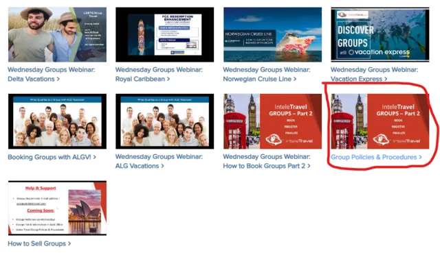 Next Level Travel Team