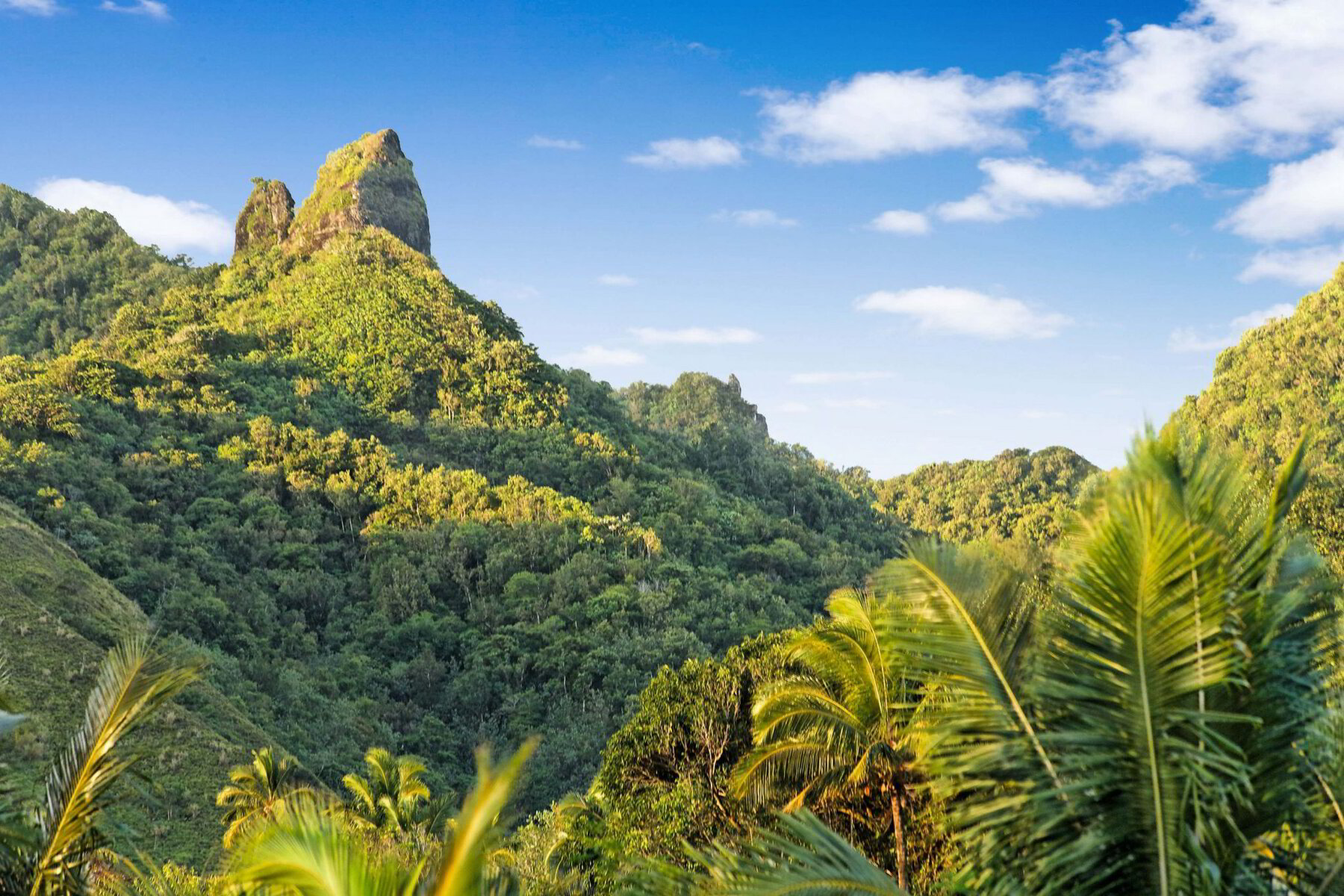 Raro Beach Bach | Rarotonga | Cook Islands | Budget Stays