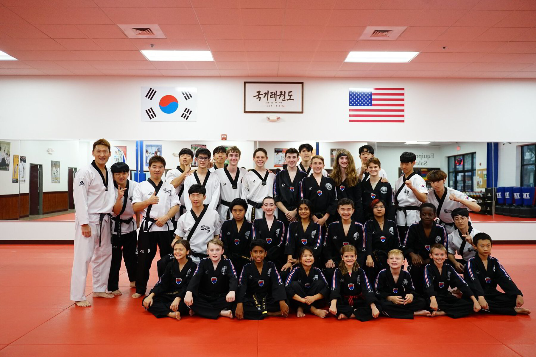 Courses | Tiger World Class - Tae Kwon Do