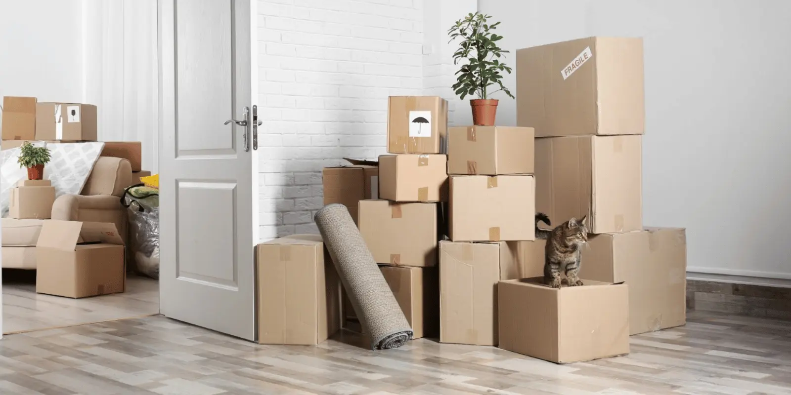 Moving Store | Moving Made easy Moving Store | Moving Made easy