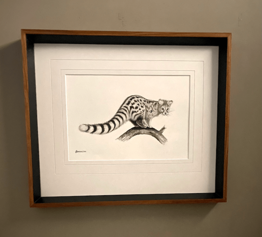 Fine Art, Prints & Framing | Elizabeth Gordon Gallery