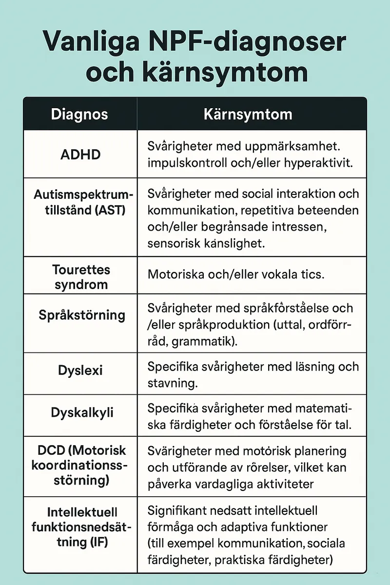NPF och NPF-diagnos – vad är neuropsykiatriska funktionsnedsättningar?